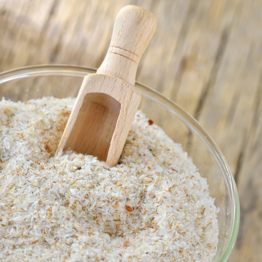 Conheça o poder do psyllium – Onconutri